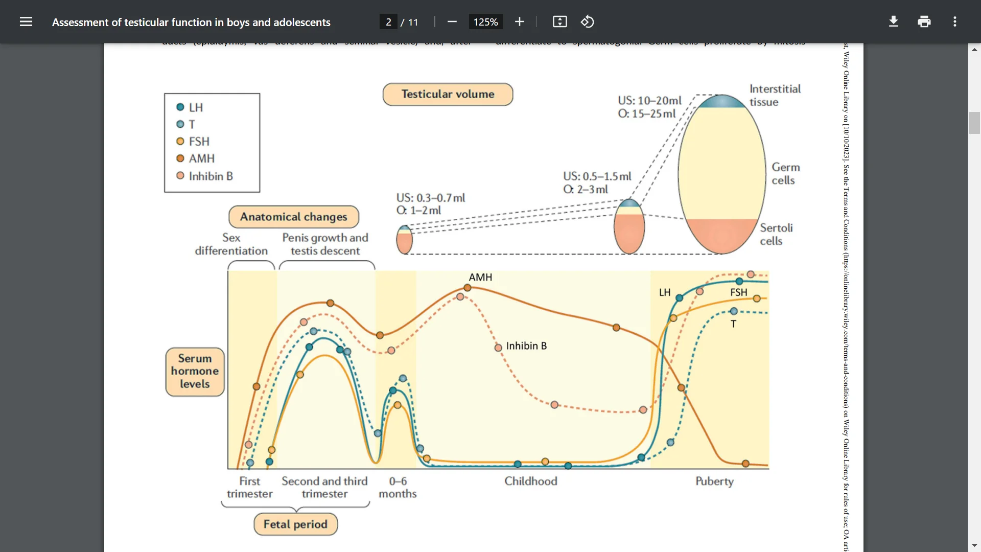 Assessment of testicular function in boys and adolescents | Excel Male ...