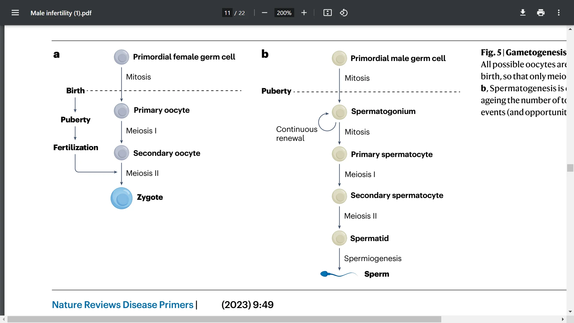 Primer- Male infertility | Excel Male TRT Forum