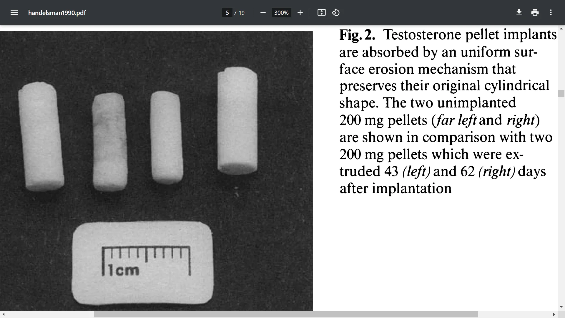 Pharmacology of testosterone pellet implants | Excel Male TRT Forum