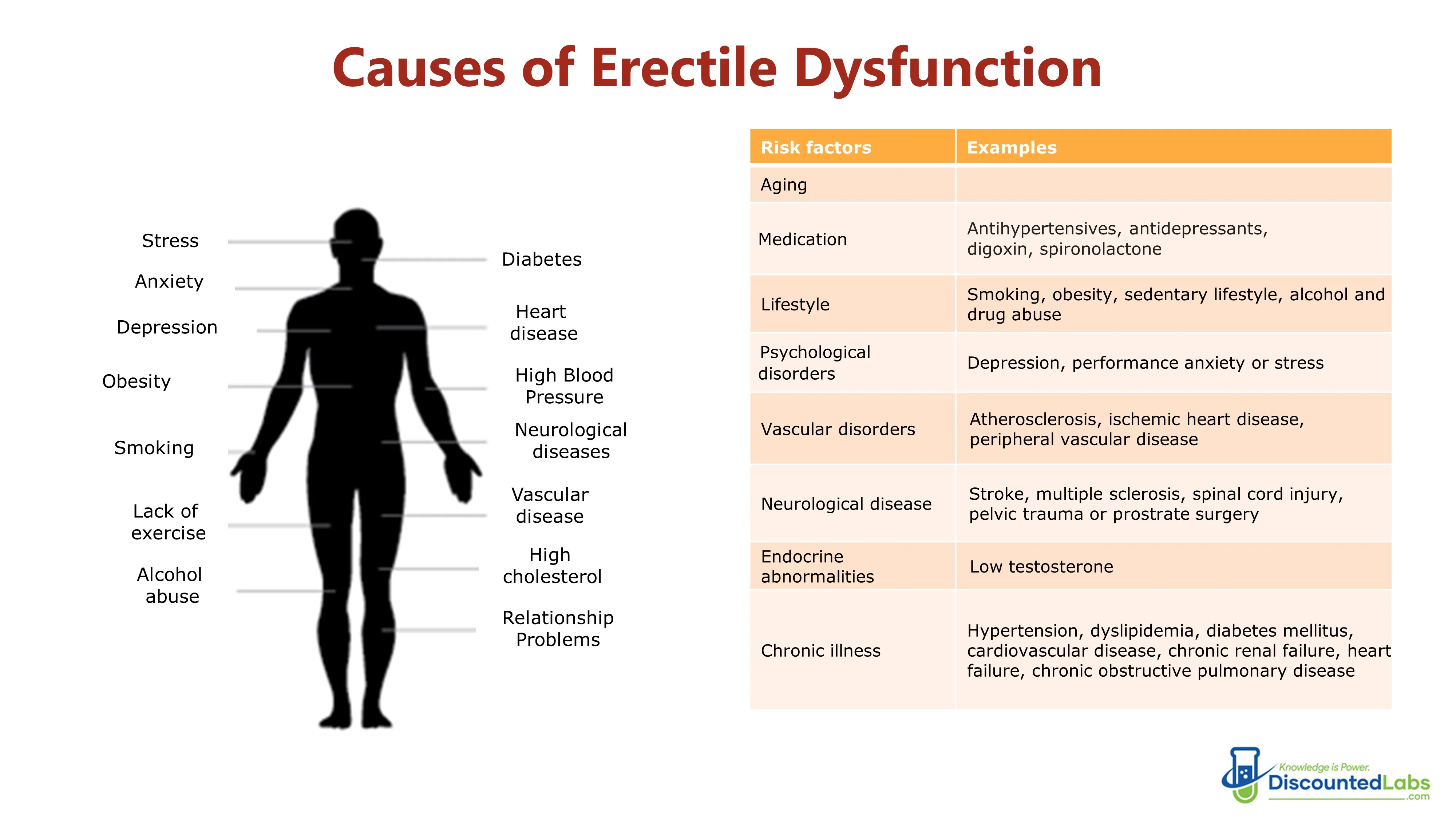Physiology of Erection and Erectile Dysfunction | Excel Male TRT Forum