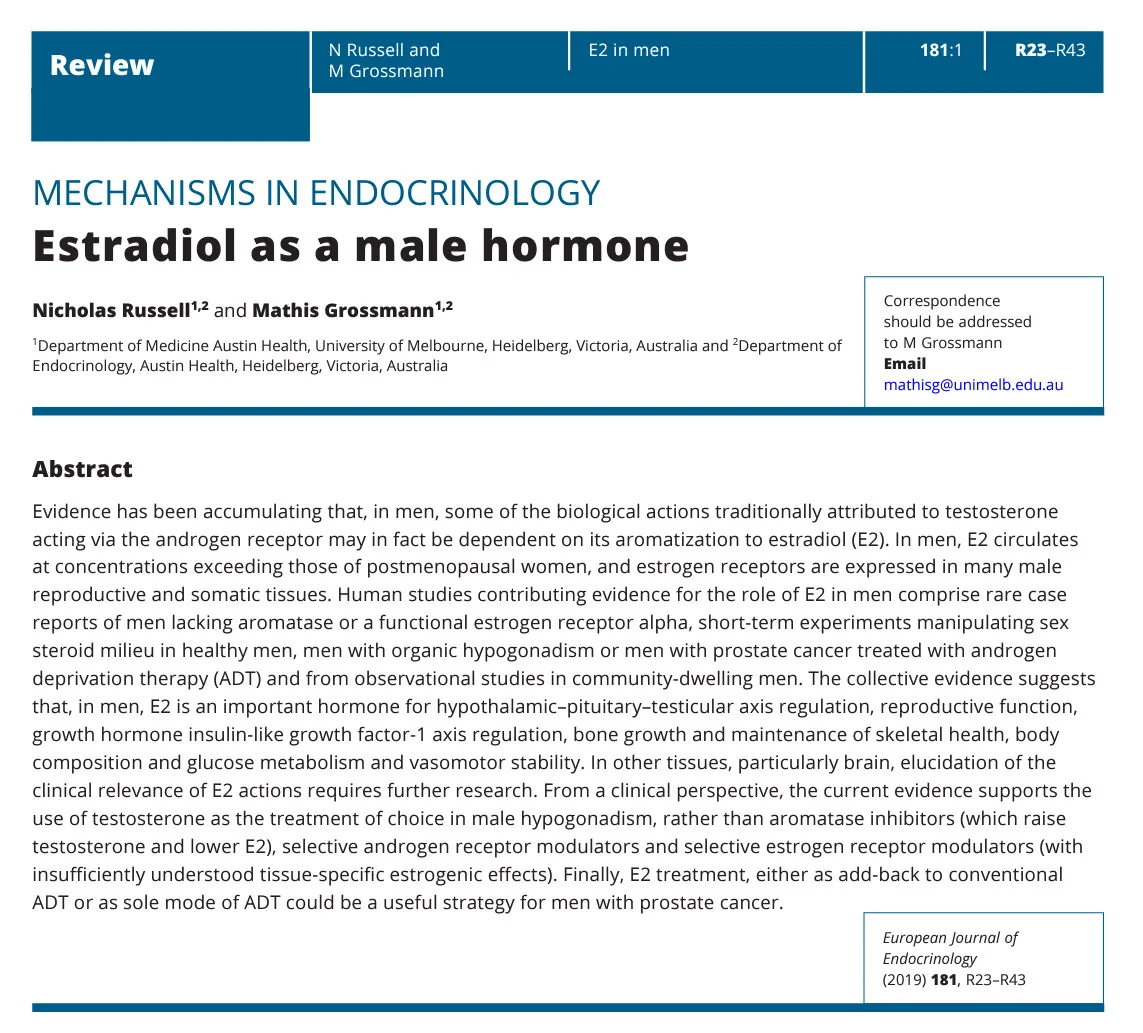 Role of Estradiol (Estrogen) in Men and Its Management | Excel Male TRT ...