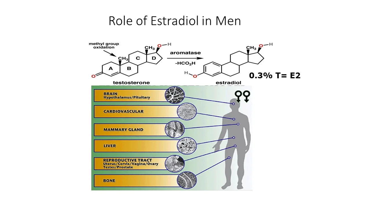 Effect of Estradiol on Men's Libido | Excel Male TRT Forum