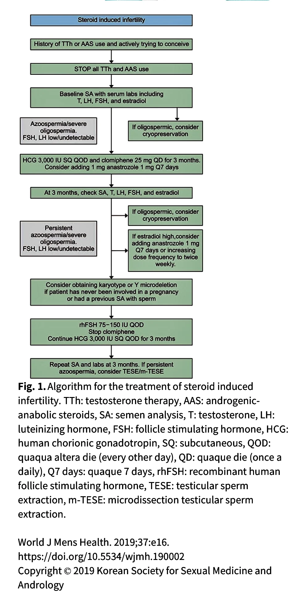FSH therapy for idiopathic male infertility: four schemes are better ...