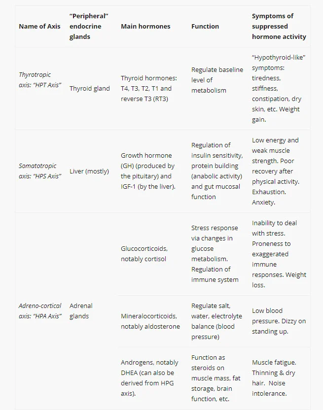 Types of Hormone Axes and Their Functions | Excel Male TRT Forum