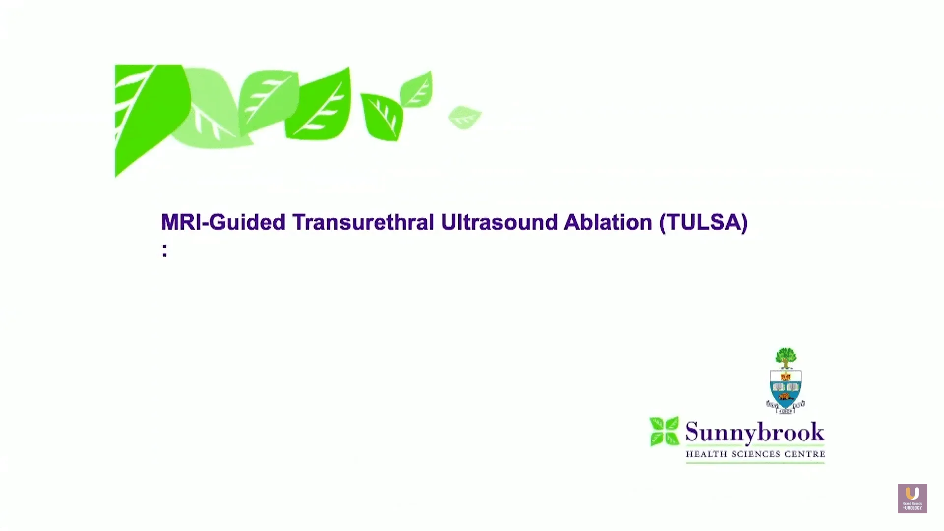 MRI-guided Transurethral Ultrasound Ablation (TULSA) for Prostate ...