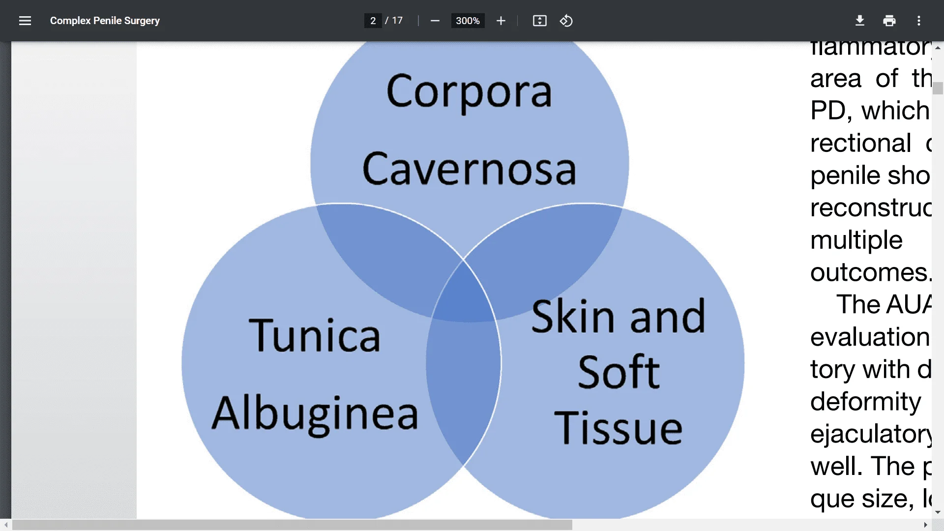(GRAPHIC) Complex Penile Surgery: Plication, Grafting, and Implants ...