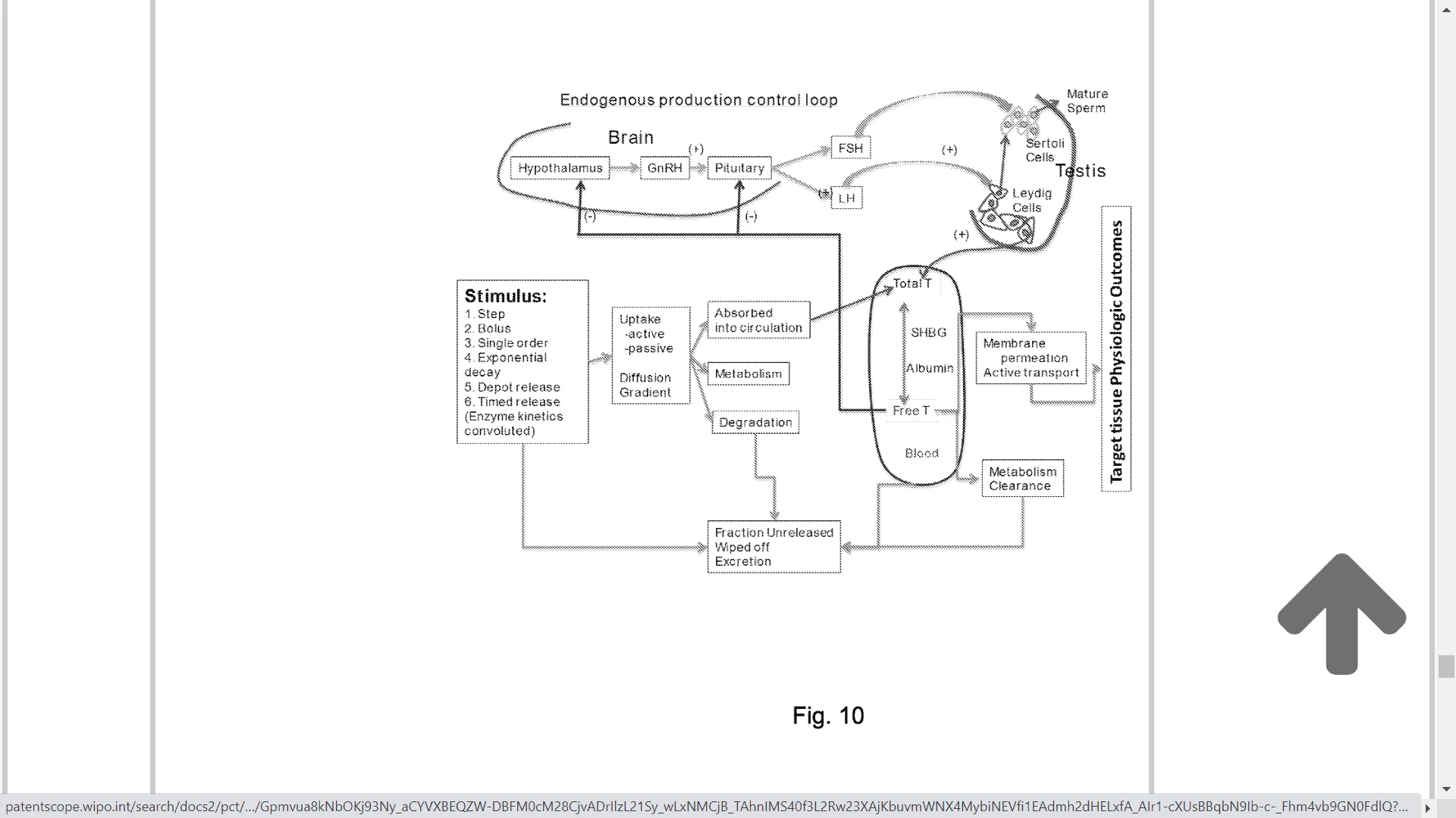 TruT Free Testosterone Calculator | Excel Male TRT Forum