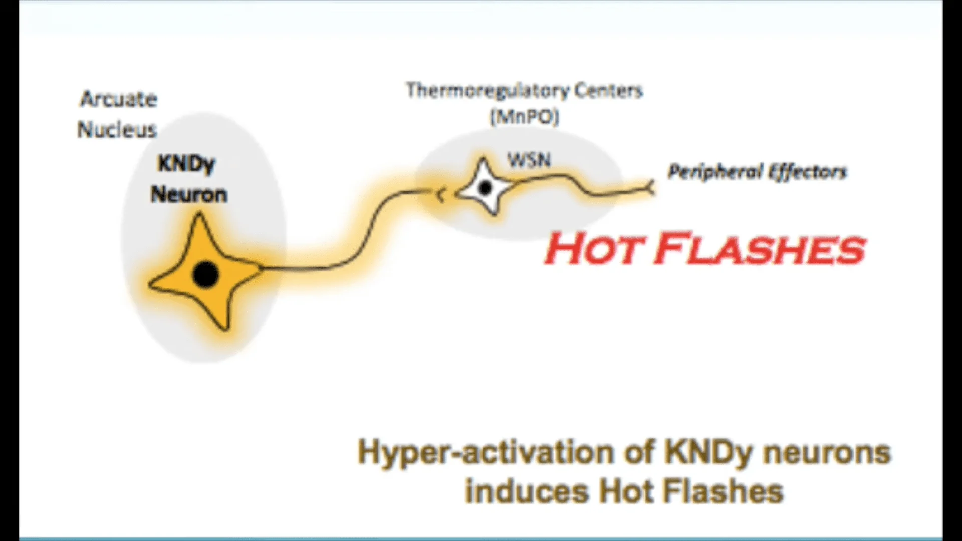 FEZOLINETANT! VEOZAH™ A New Non-Hormonal Hot Flash Drug | Excel Male ... FEZOLINETANT! VEOZAH™ A New Non-Hormonal Hot Flash Drug | Excel Male ...
