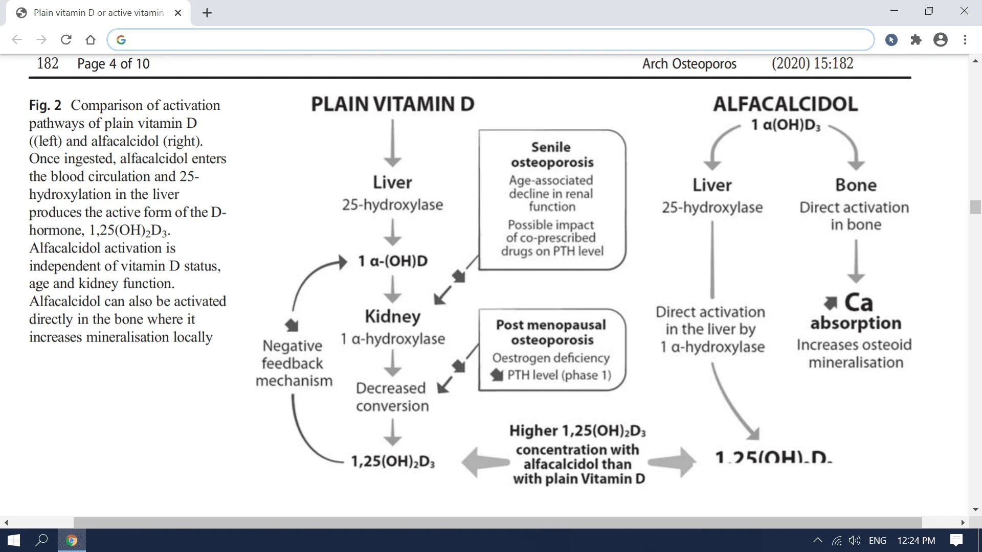 Superiority of alfacalcidol over plain vitamin D in the treatment of ...