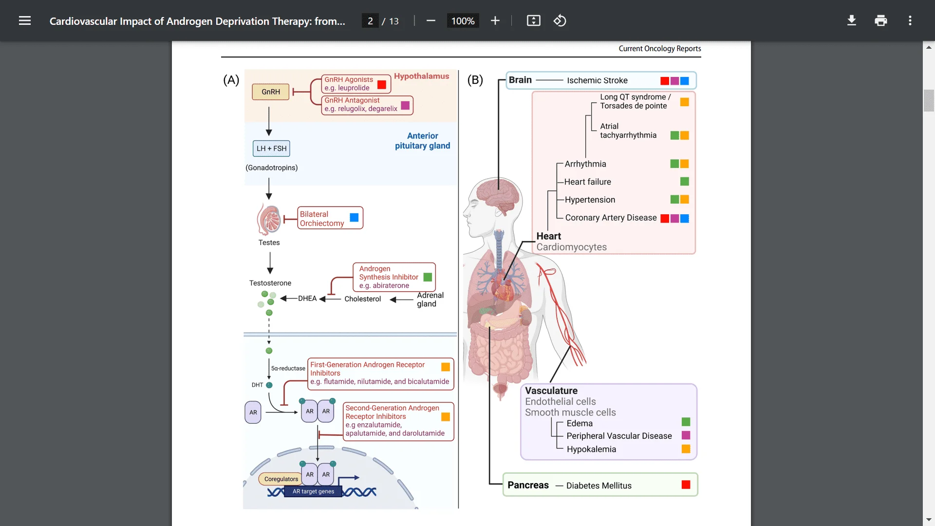 Exploring Cardiovascular Consequences of ADT in Prostate Cancer | Excel ...