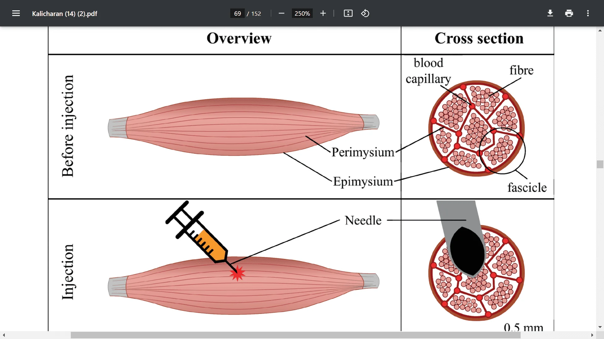 NEW INSIGHTS INTO DRUG ABSORPTION FROM OIL DEPOTS | Excel Male TRT Forum