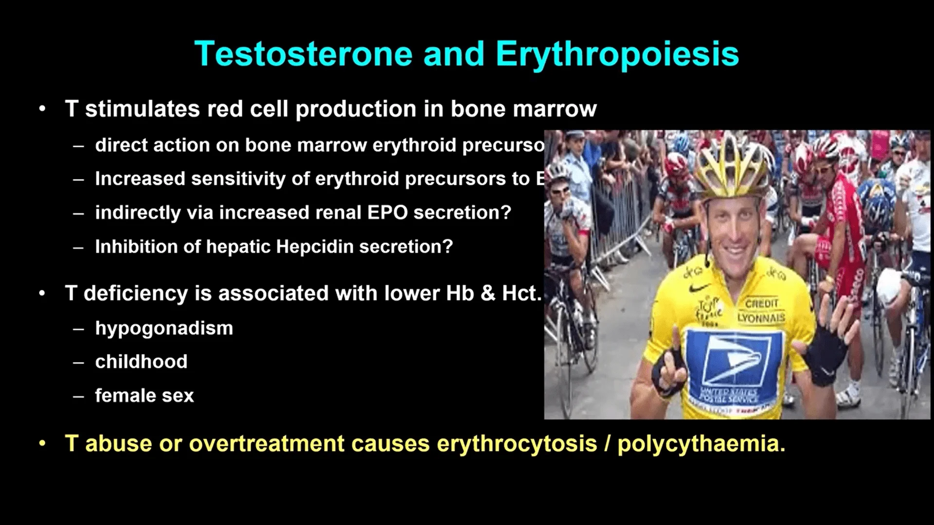 Testosterone for Bone and Bone Marrow Health | Excel Male TRT Forum