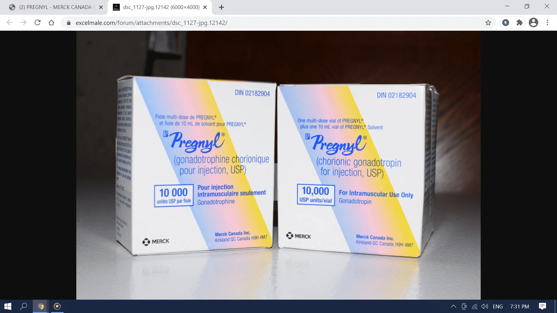 PREGNYL hCG by MERCK CANADA | Excel Male TRT Forum