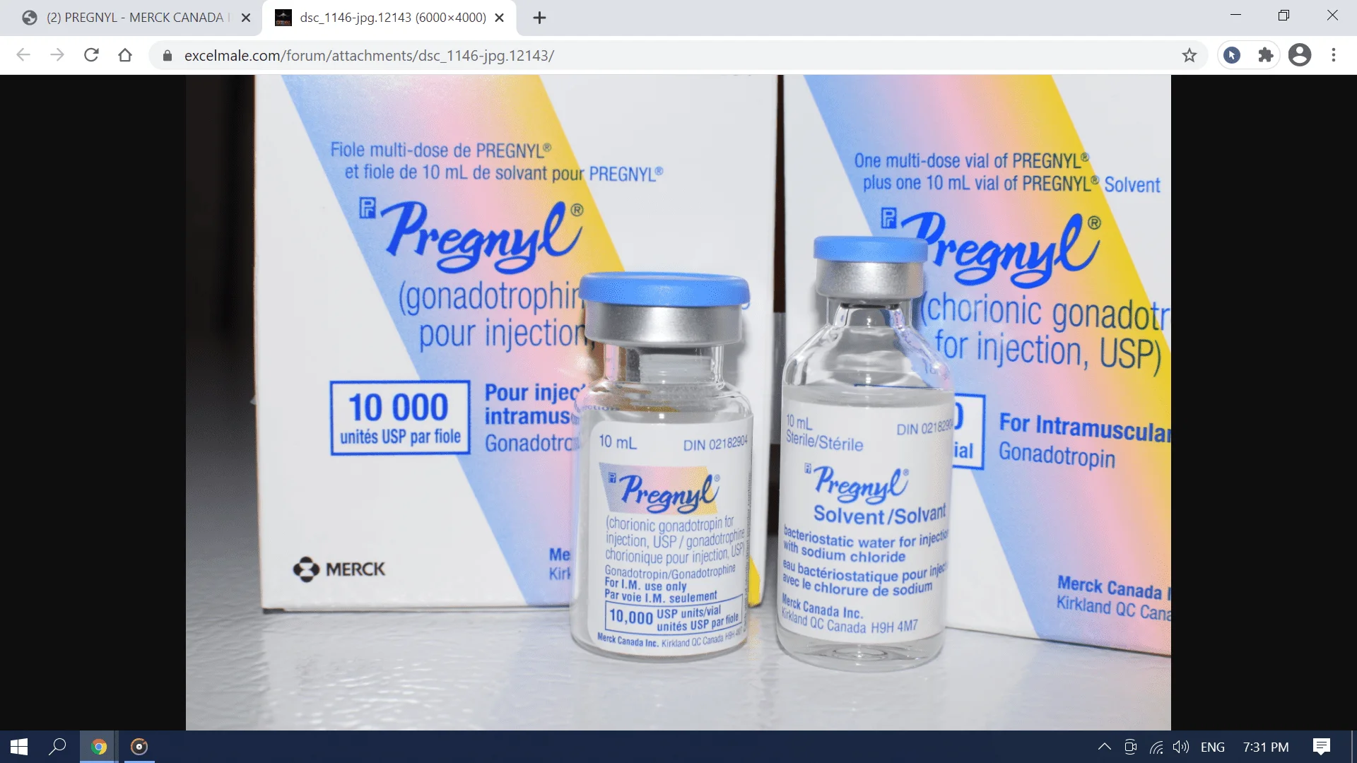 PREGNYL hCG by MERCK CANADA | Excel Male TRT Forum