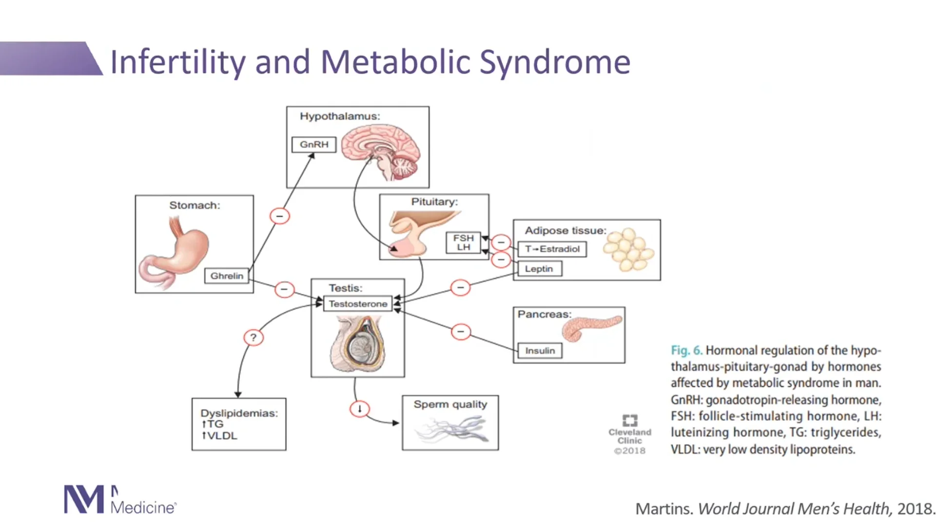 Male Infertility Guidelines - Diagnosis, treatment options, and ...