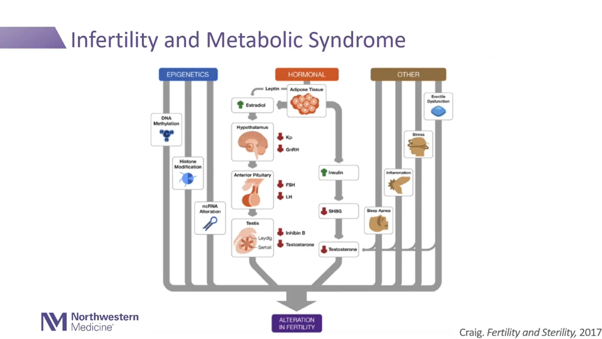 Male Infertility Guidelines - Diagnosis, treatment options, and ...