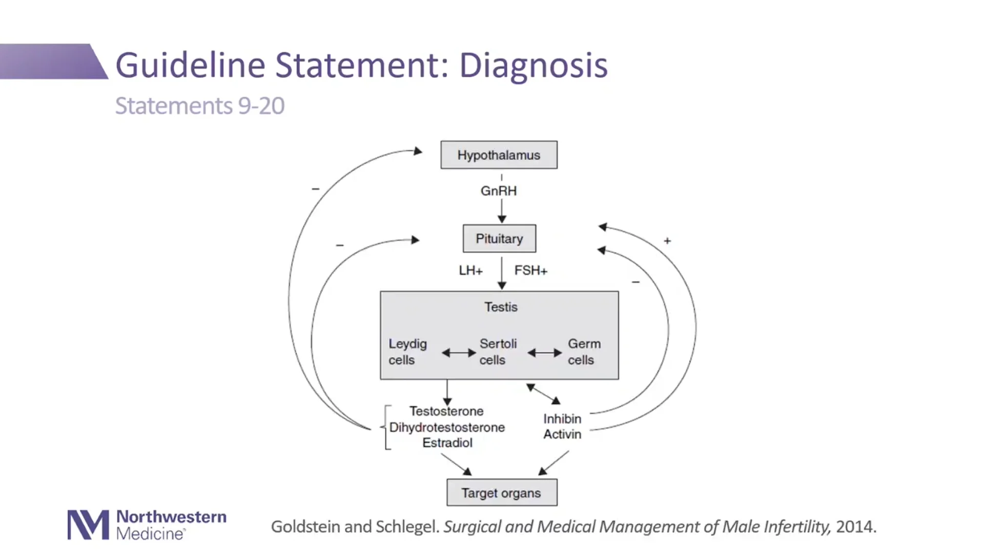 Male Infertility Guidelines - Diagnosis, treatment options, and advancements in the field ...