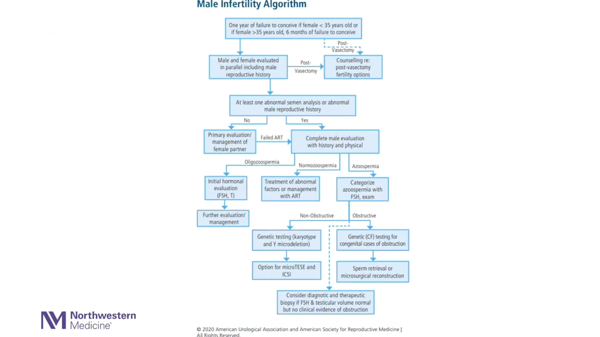 Male Infertility Guidelines - Diagnosis, treatment options, and ...
