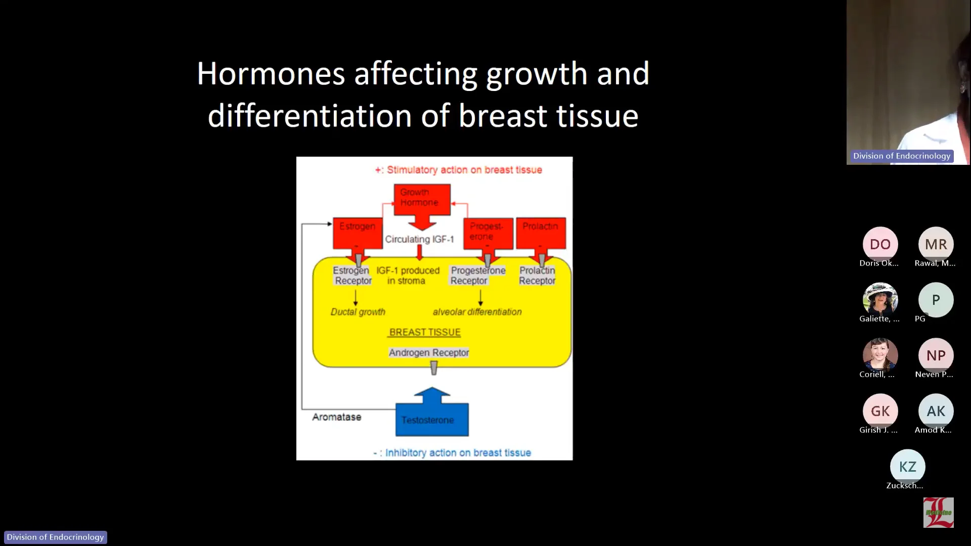 Gynecomastia: Approach to Evaluation and Management of a Common ...
