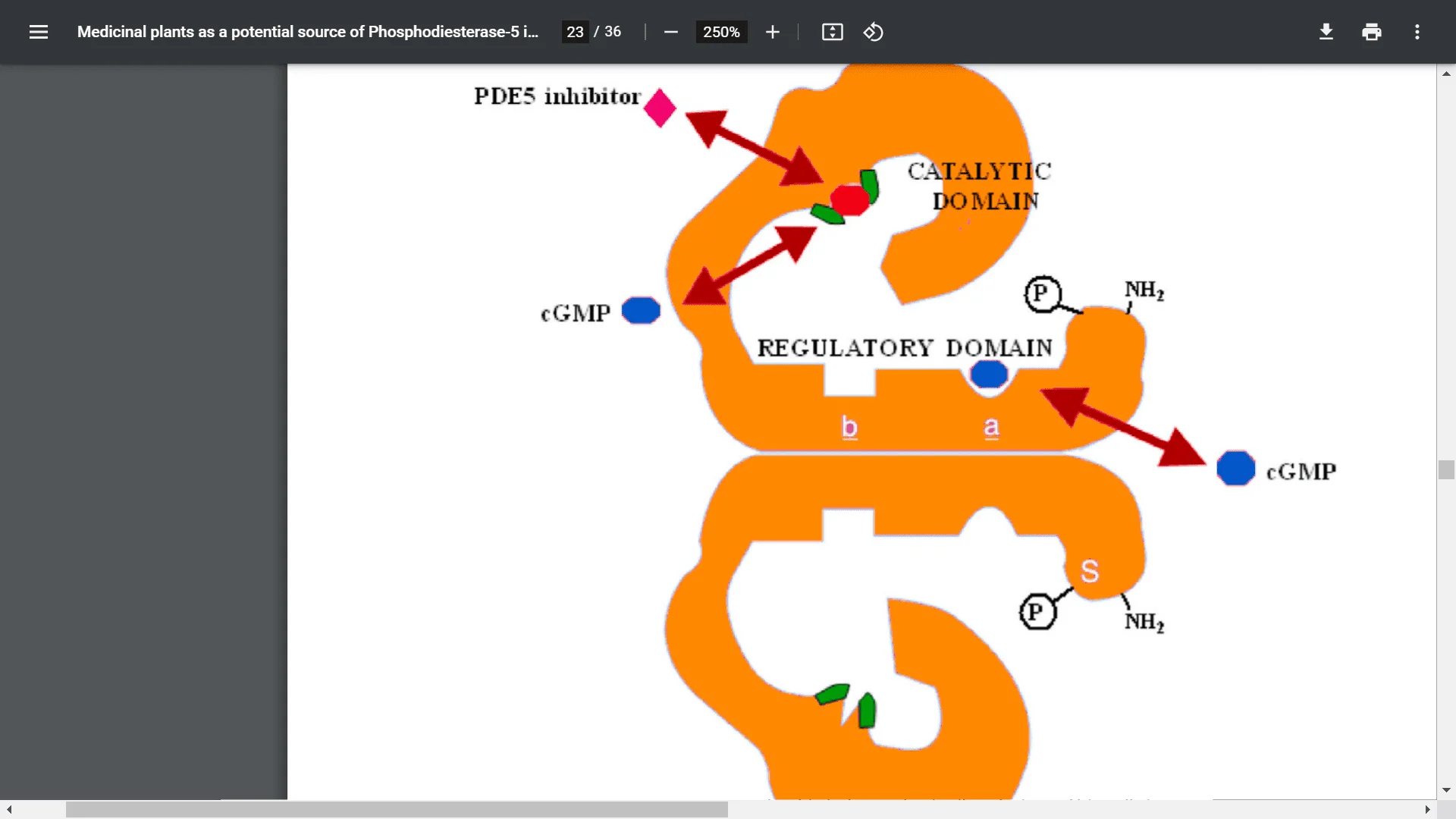 Medicinal plants as a potential source of PDE5i | Excel Male TRT Forum