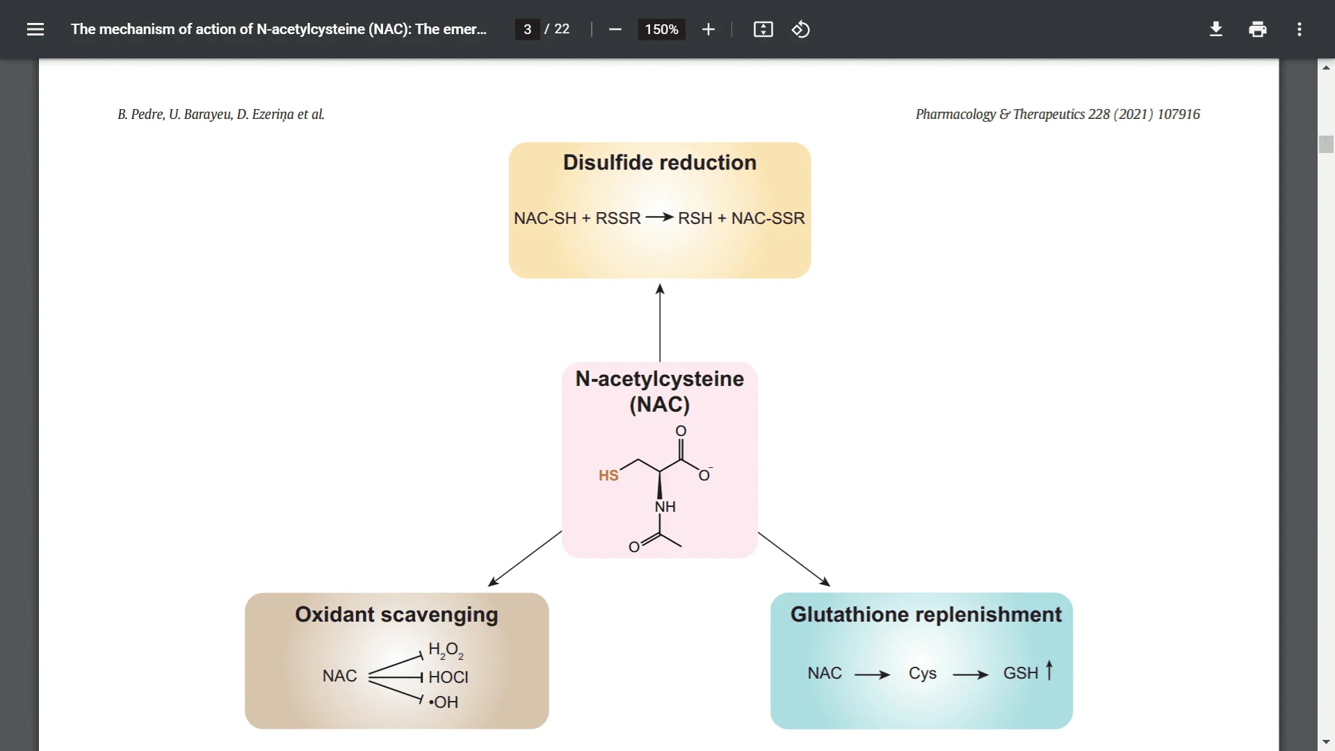The mechanism of action of N-acetylcysteine (NAC) | Excel Male TRT Forum