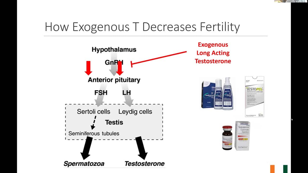 New Testosterone Nasal Gel (Natesto) Data- Interview with Dr Ramasamy ...